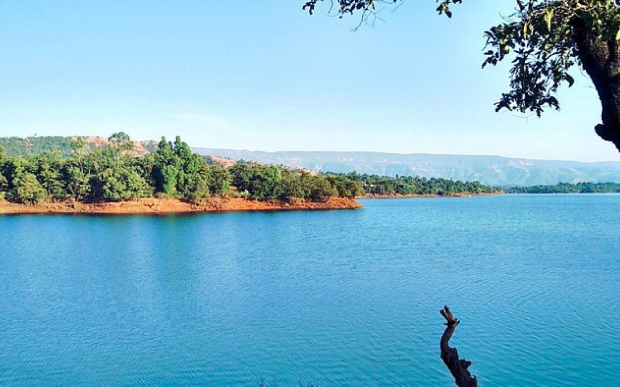 Home - patilwadaagrotourism.com